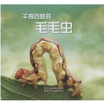 【正版】千奇百怪的毛毛虫 [美]辛格 孔令宇