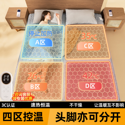 电热水暖毯水暖型电热毯分区控温双控2025新款水暖毯水电褥子四区