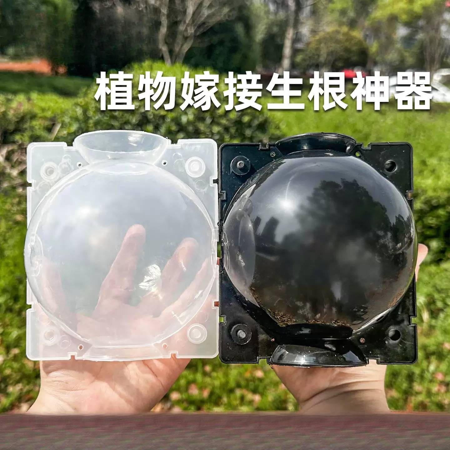 植物高压繁殖嫁接盒花卉果树控根扦插繁殖球生根器育苗繁殖器