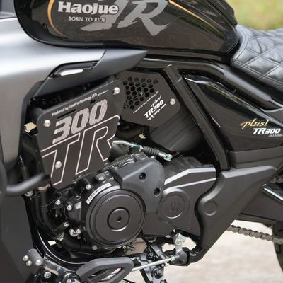 适用豪爵TR300plus改装