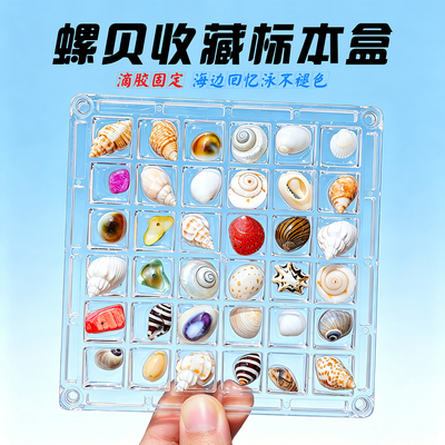 天然迷你小海螺贝壳海星高透收纳盒材料包微贝沙标本海边礼物批发