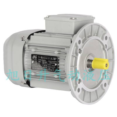 Hongjie弘捷电机刹车马达TAIZHOU BODAO YEJ271-6 0.75KW
