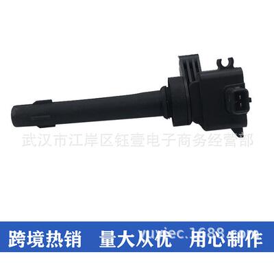 跨境IgnitionCoil适用于五菱之光五菱宏光/荣光宝骏31023886383