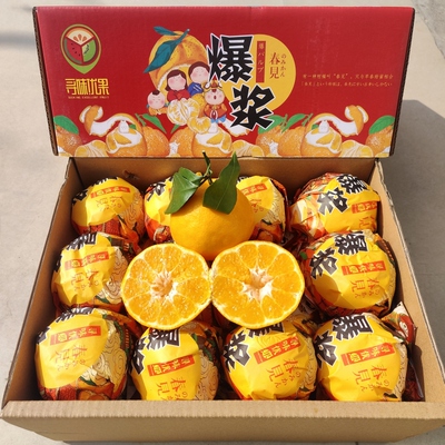 寻味优果爆浆春见粑粑柑纯甜多汁