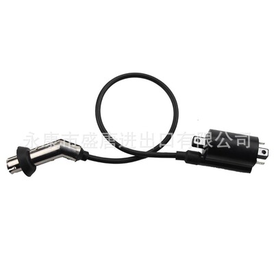 点火线圈适配257cc 260cc 300cc Roketa MC 250-B FS300ATV越野车