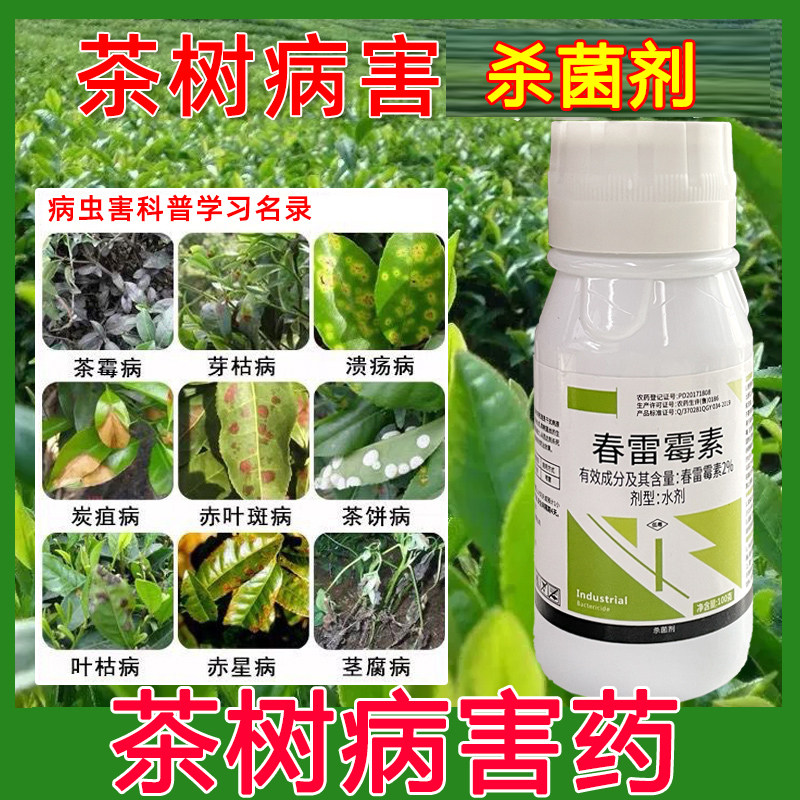 茶树病害春雷霉素杀菌剂锈病软腐病赤星病炭疽病霜霉病茶叶树正品