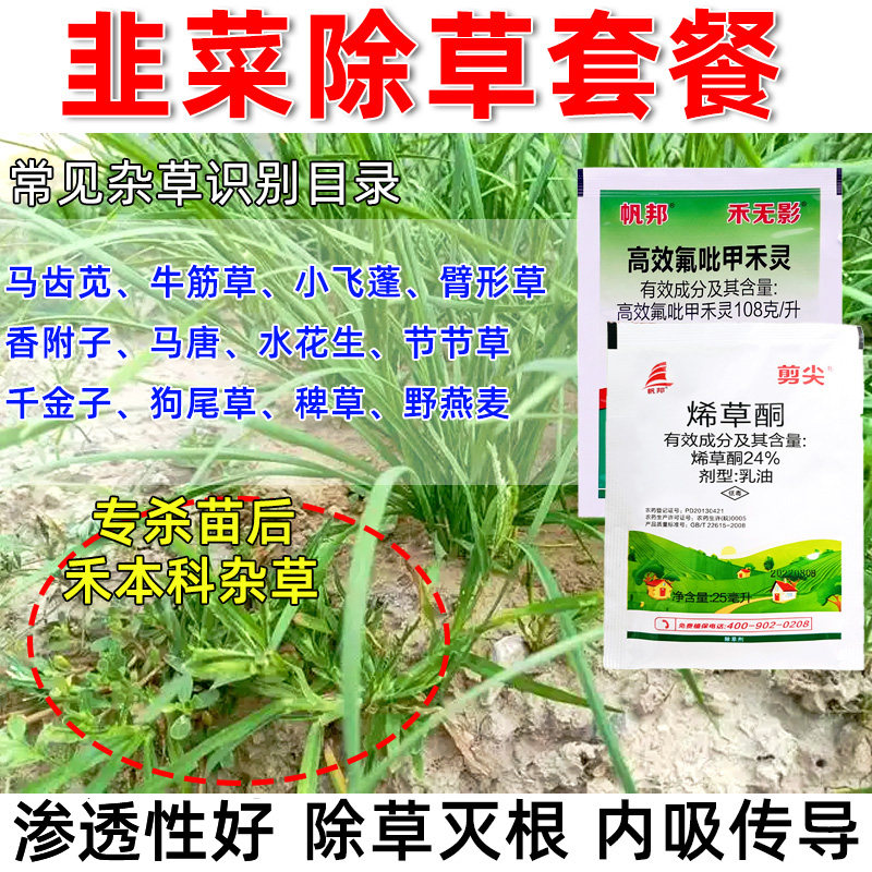 韭菜苗后除草剂韭菜通用除草剂不伤苗除杂草大葱小葱蔬菜除草剂