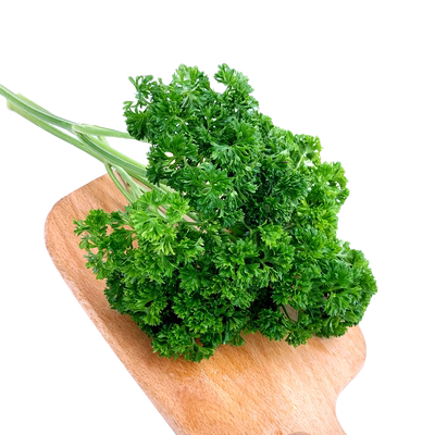 新鲜荷兰芹西餐摆盘装饰蔬菜