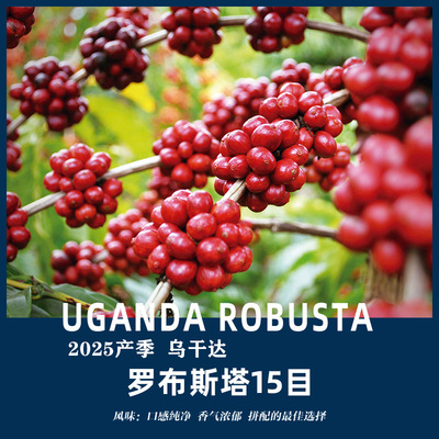 金粽咖啡乌干达进口罗布斯塔15目咖啡生豆油脂丰富2025新产季