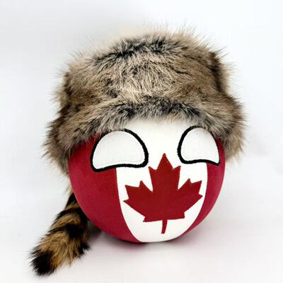 加拿大漫画手工公仔波兰球