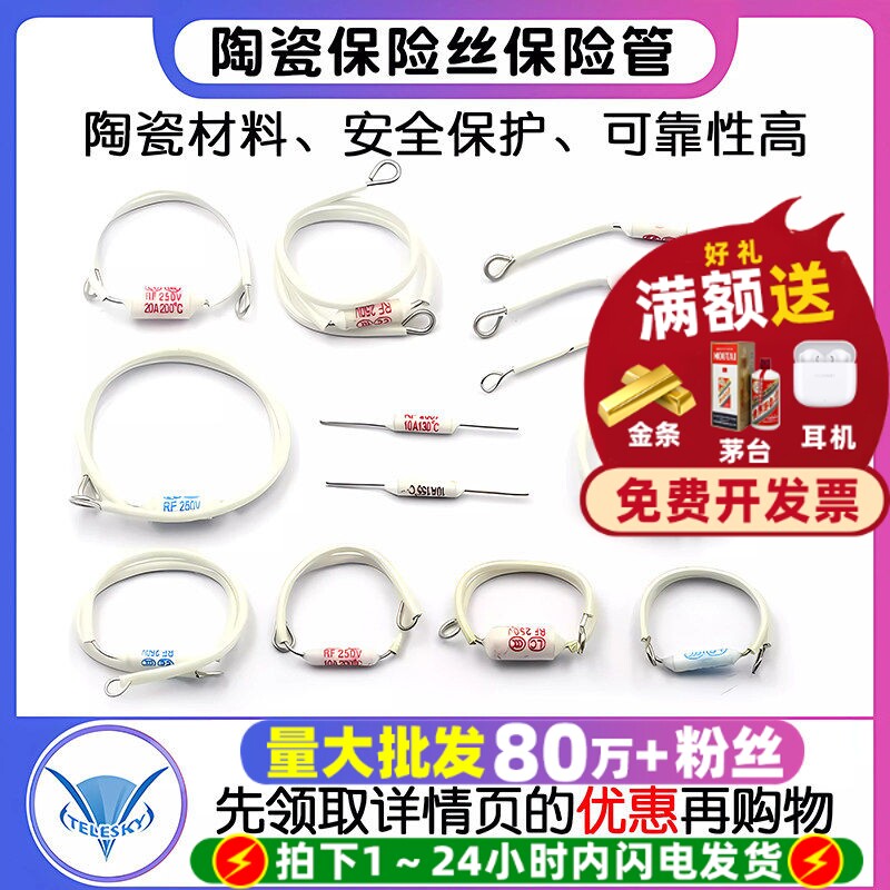 电饭锅电饭煲陶瓷温度保险丝保险管配件电阻rf216度10A 20A 250V
