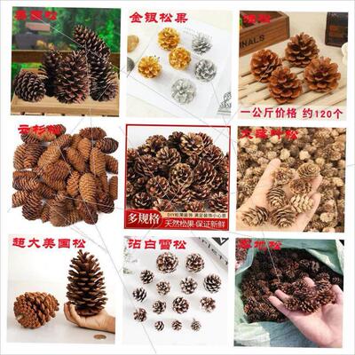 Larch Christmas decoration pinecone dried flowers DIY