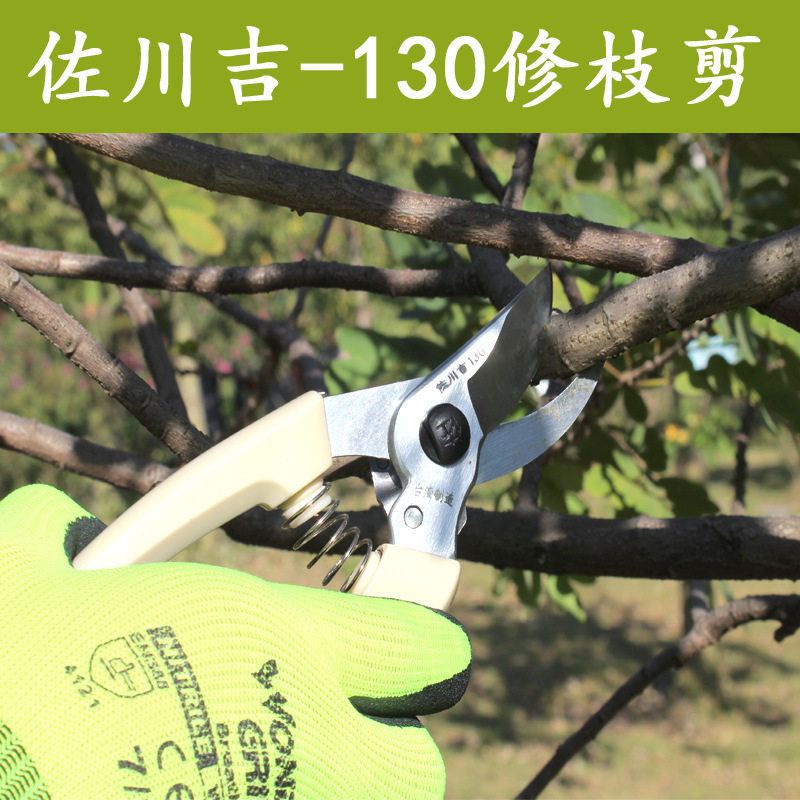 台湾佐川吉修枝剪-130原装手剪园艺剪果树剪刀花剪刀剪粗枝的