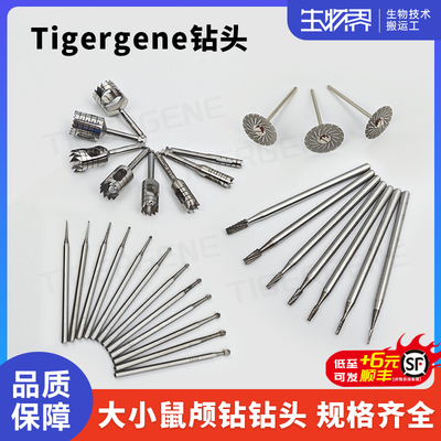 Tigergene动物实验用颅钻 钻头 圆头球钻平头裂钻 小鼠大鼠颅骨钻