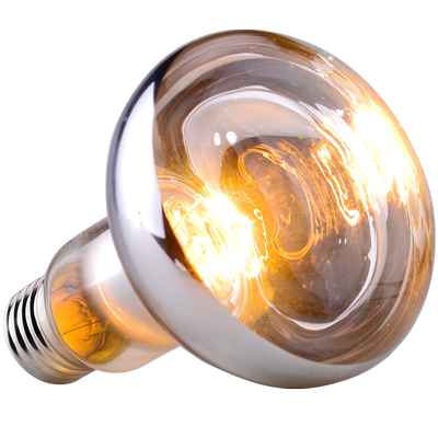 rs升级款沙漠型加热蜥蜴爬虫爬宠