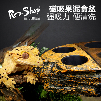 睫角果泥食盆爬宠守宫水盆蜥蜴树脂造景甲虫果冻台爬虫树栖喂食盆