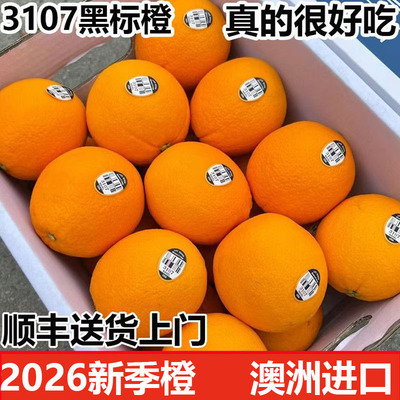 当季时令黑标3107橙子新鲜水果不干水甜脐橙大手剥榨汁橙顺丰包邮
