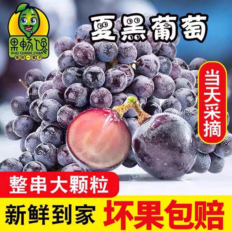 黑提葡萄整箱5斤新鲜当季水果黑提子黑加仑巨峰无籽葡萄孕妇包邮