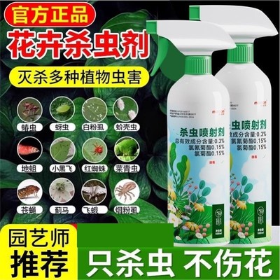 专杀花盆里的小黑飞花卉杀虫剂