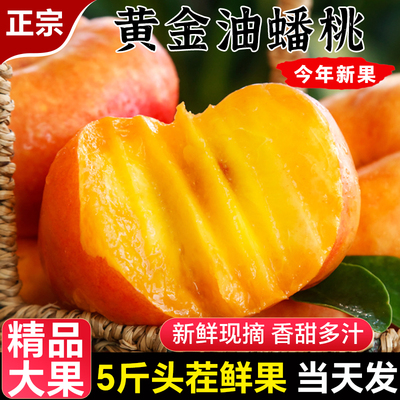 黄金油蟠桃5斤新鲜大桃子水果