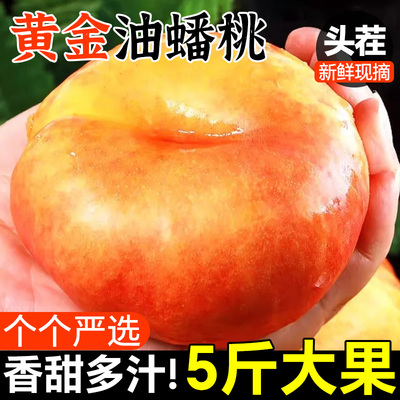 蒙阴黄金油蟠桃5斤新鲜桃子水果