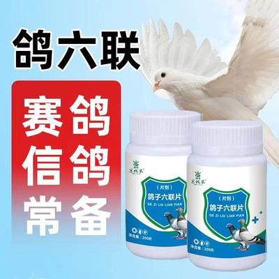 正品鸽六联片鸽子鸟用甩头歪脖没精神不吃食甩食水便绿便新城呼噜