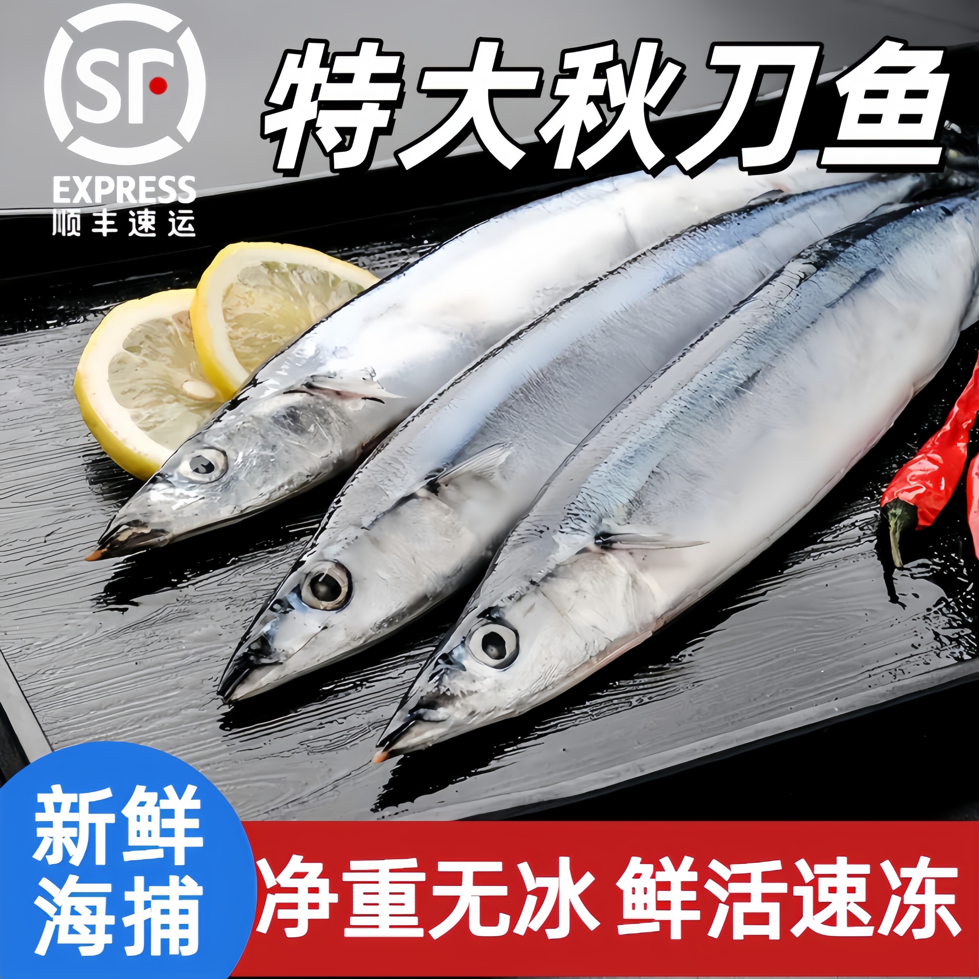 【自营渔船】京鲁远洋新鲜秋刀鱼特大野生海补冷冻烧烤食材半成品