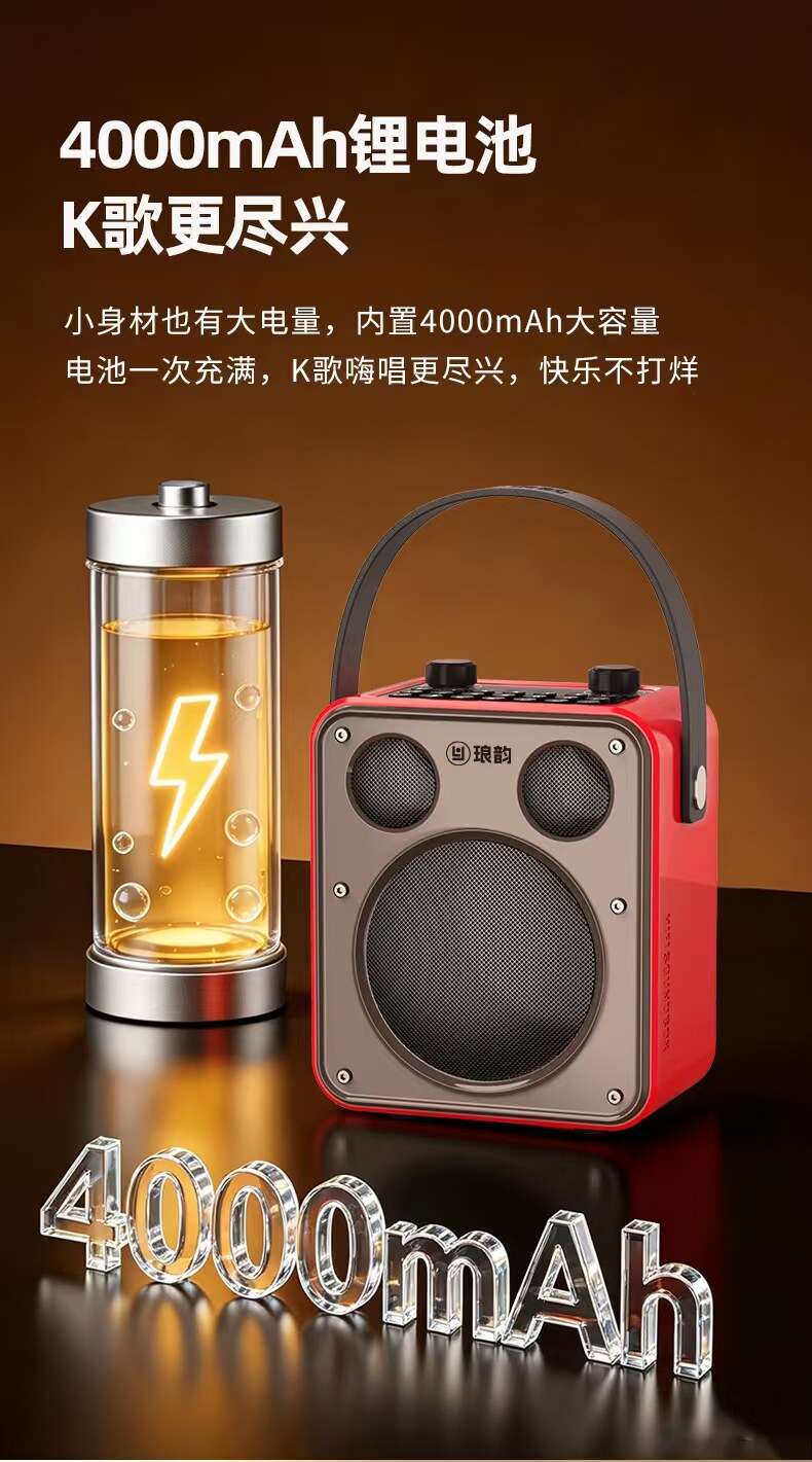 琅韵D92电吹管古筝古琴二胡专用无线扩音器80W蓝牙音响乐器音箱