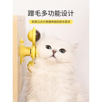 。toys to relieve boredom pet supplies suction cup turntab