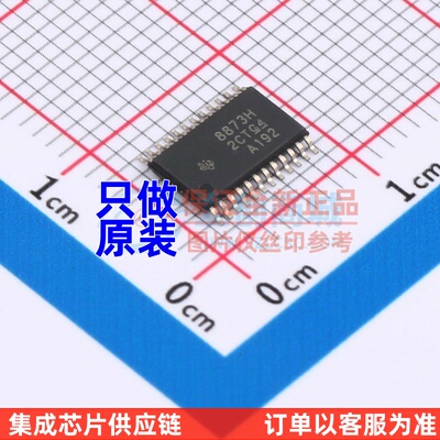 有刷直流电机驱动芯片 DRV8873HPWPR HTSSOP-24 TI/德州 原装正品