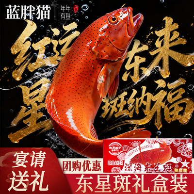 深海东星斑高端海鲜大礼包