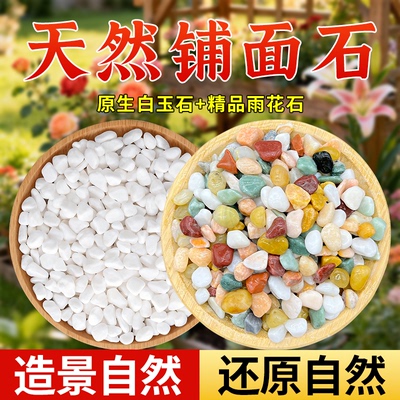 天然五彩雨花石多肉水培铺面白石