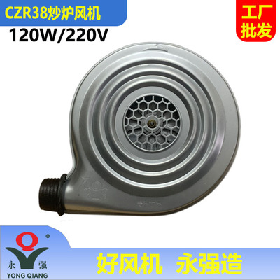 永强牌CZR38油气灶风机B