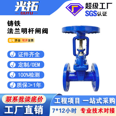 铸铁法兰小口径闸阀 Z41X-16Q明杆/暗杆 DN25 DN32法兰挼密封闸阀