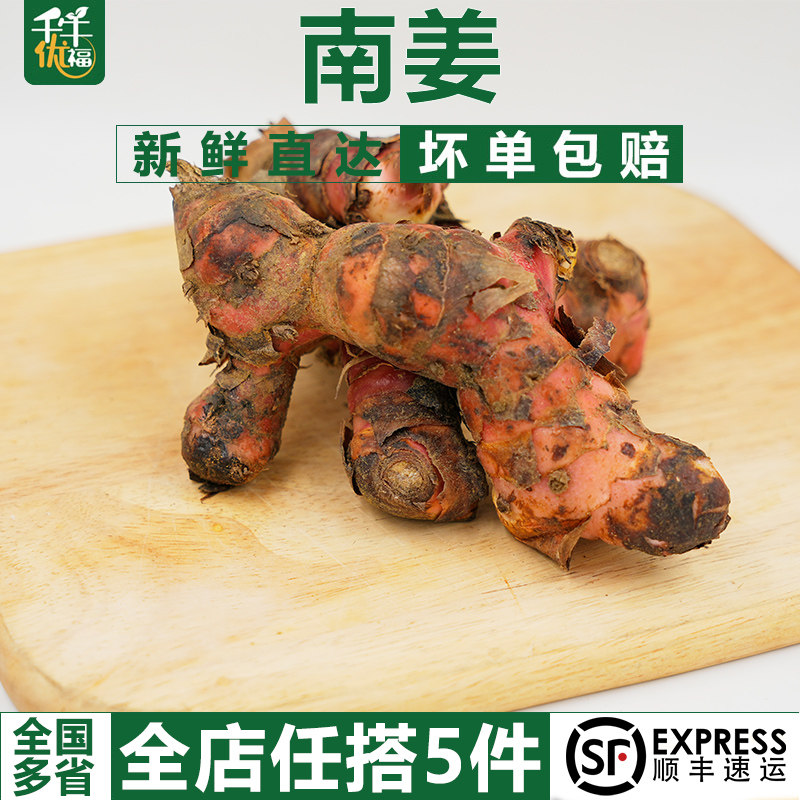 【千牛优福】南姜500g 新鲜芦苇姜 泰式冬阴功汤调料火锅底料生姜