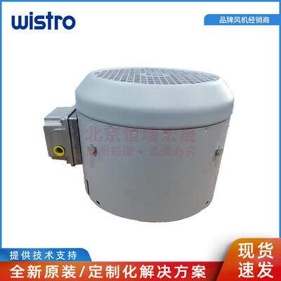 A2D265-AA02-10 ebmpapst BG132 wistro变桨电机风机