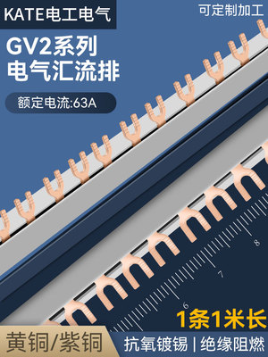 GV2型3P63A电气汇流排 紫铜45间距U型连接排NS2-25马达保护接线排