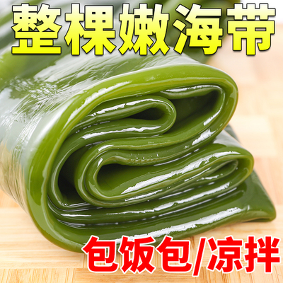 5斤包饭新鲜整棵海带嫩头茬海带非干货即食威海荣成盐渍头丝整箱