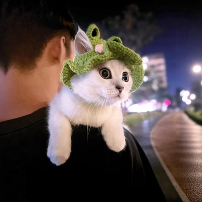 【超可爱猫咪帽子】拍照神器出片