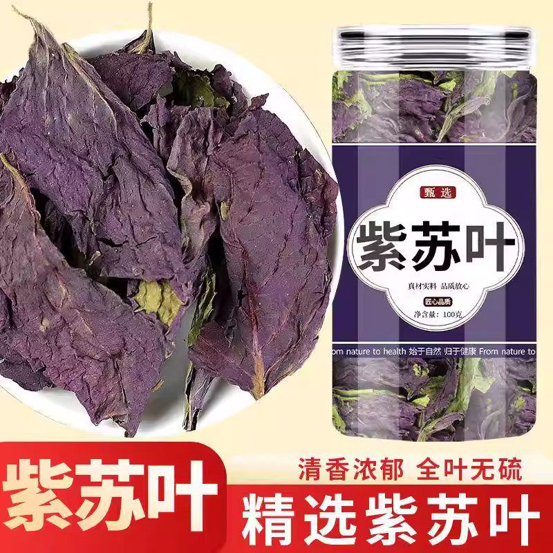 紫苏叶中药材官方旗舰店野生干新鲜食用苏子叶泡水喝的功效与作用