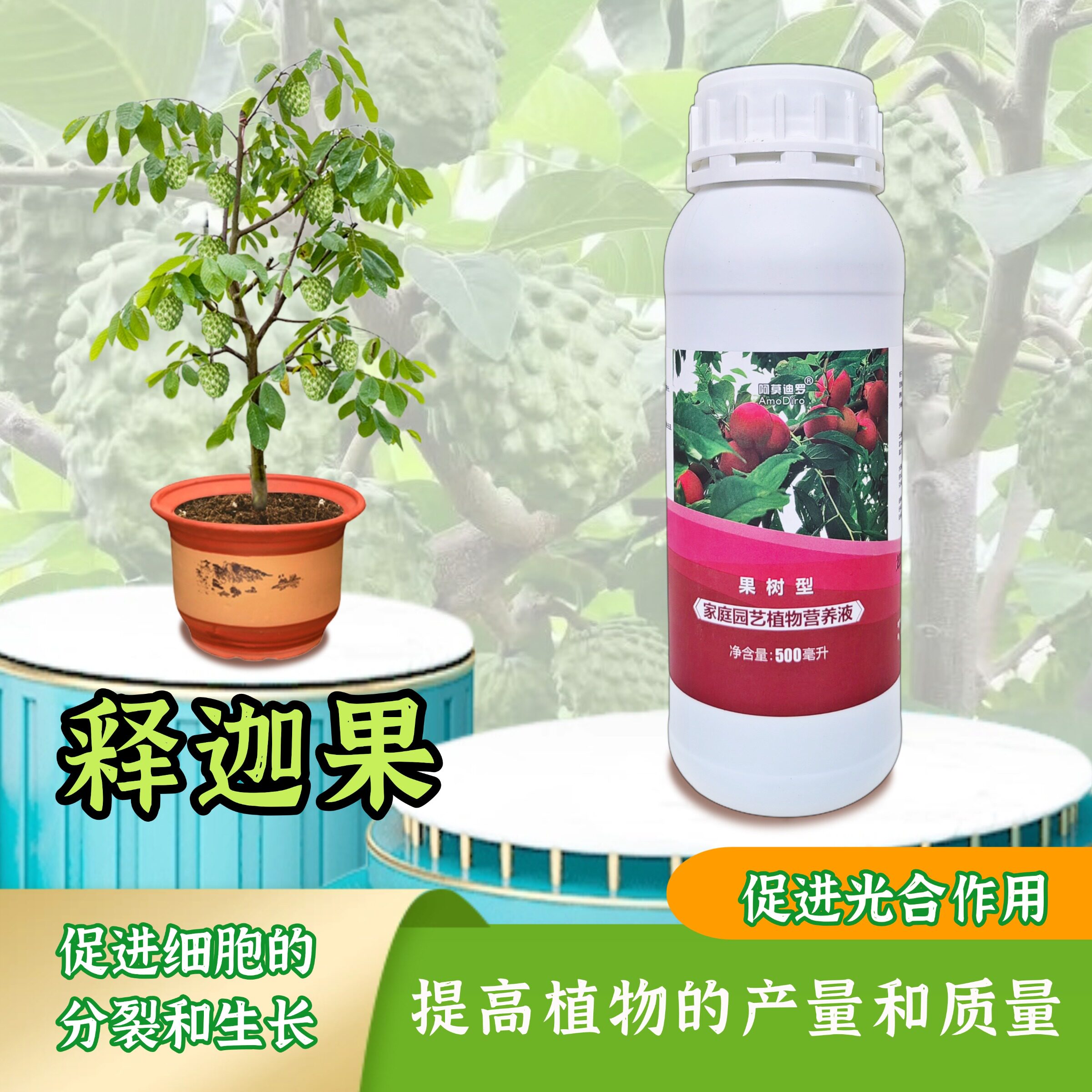 番荔枝释迦果佛头果营养液庭院盆栽果苗地栽植物专用果树肥料