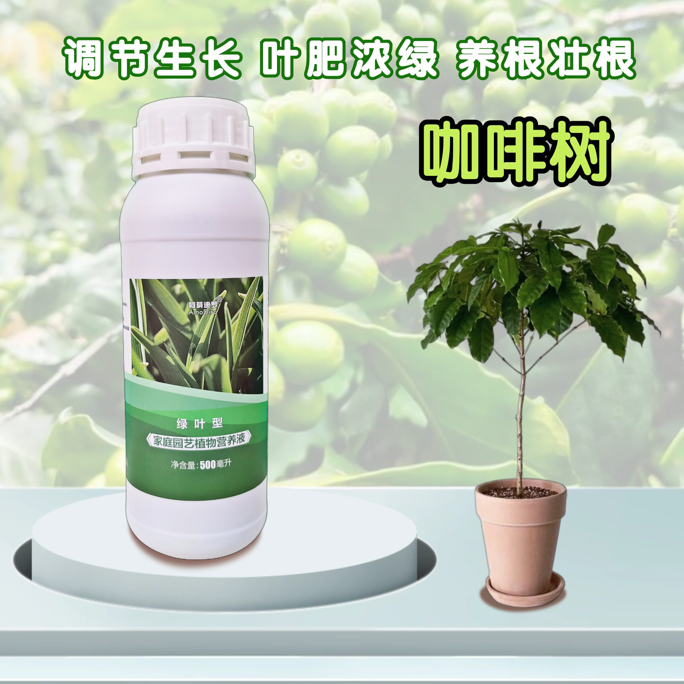 云南咖啡树树苗营养液庭院阳台专用盆栽地栽绿植浓缩液体肥料