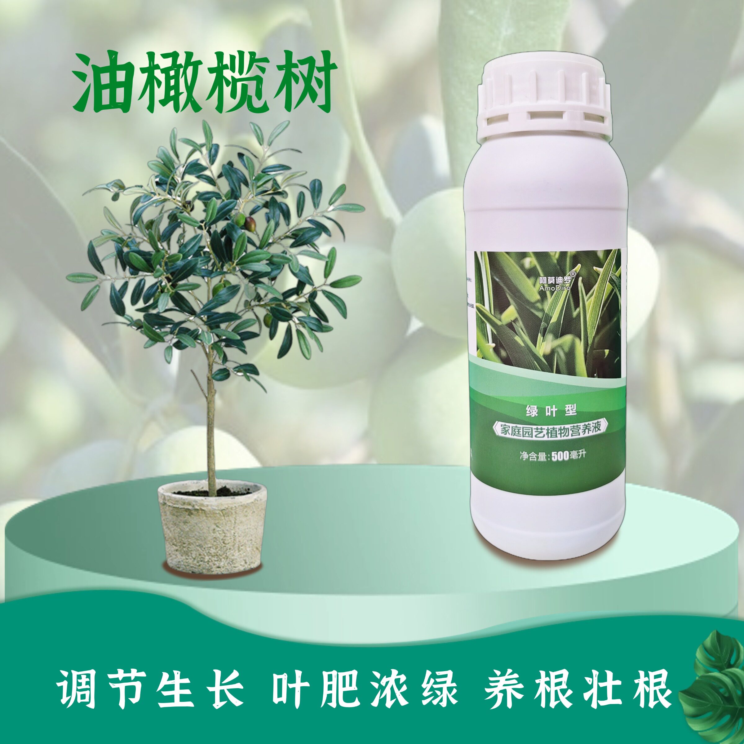 油橄榄树营养液西班牙地中海盆栽专用树苗绿植肥料