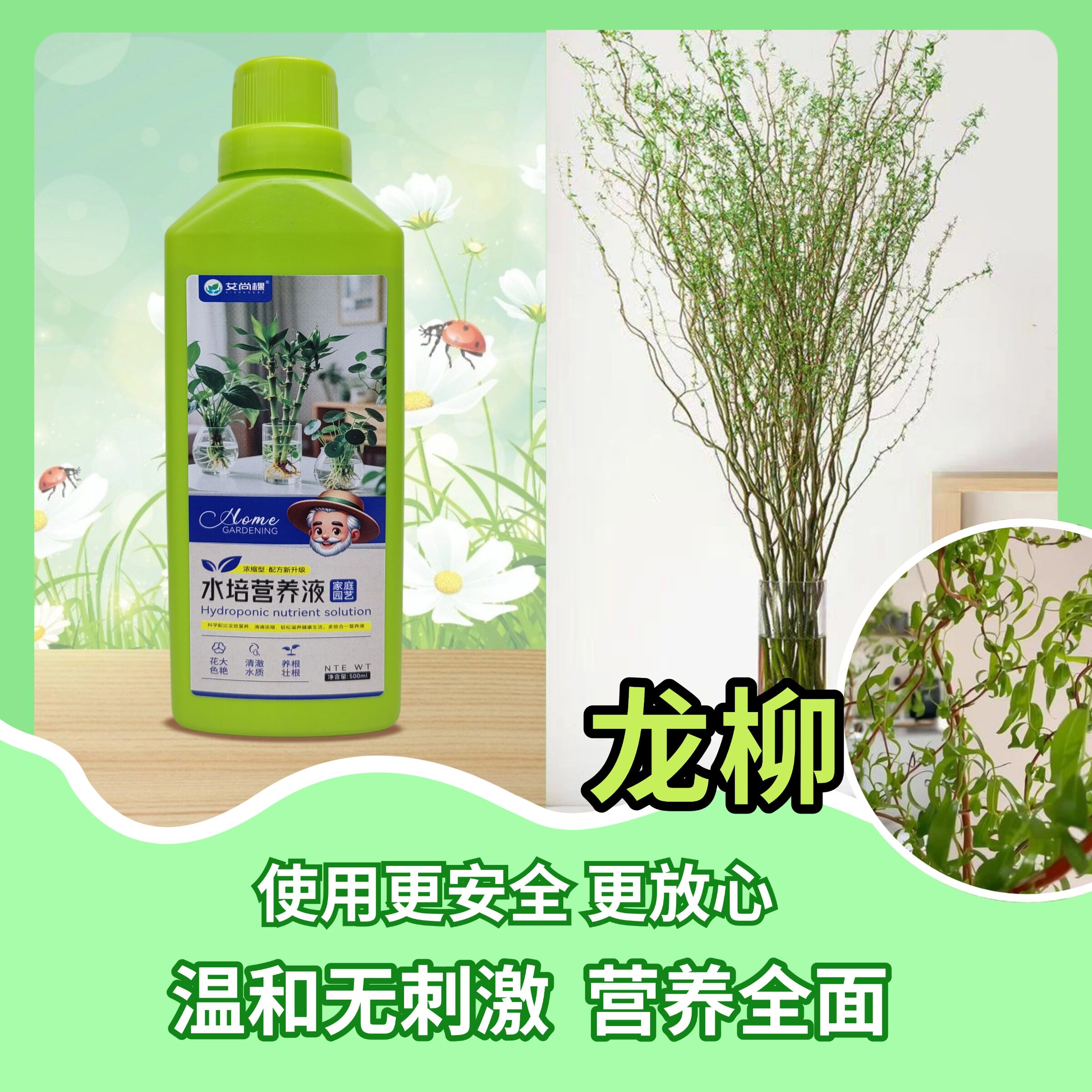 龙柳水培营养液室内客厅金龙柳植物鲜枝干枝专用多元素复合花肥料