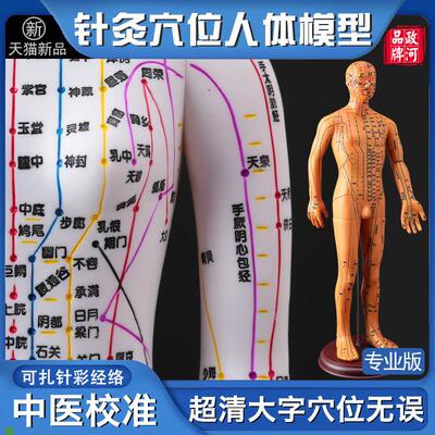 政河中医人体穴位模型人十二经络D图针灸人体模型可扎针小皮铜人