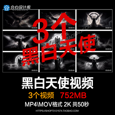 techno黑白天使 科技 暗黑 几何线条 图案高级loop循环节目VJ素材