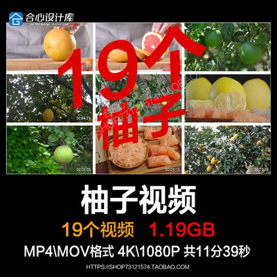柑橘桔子蜜柚柚子西柚时令节水果实拍视频素材