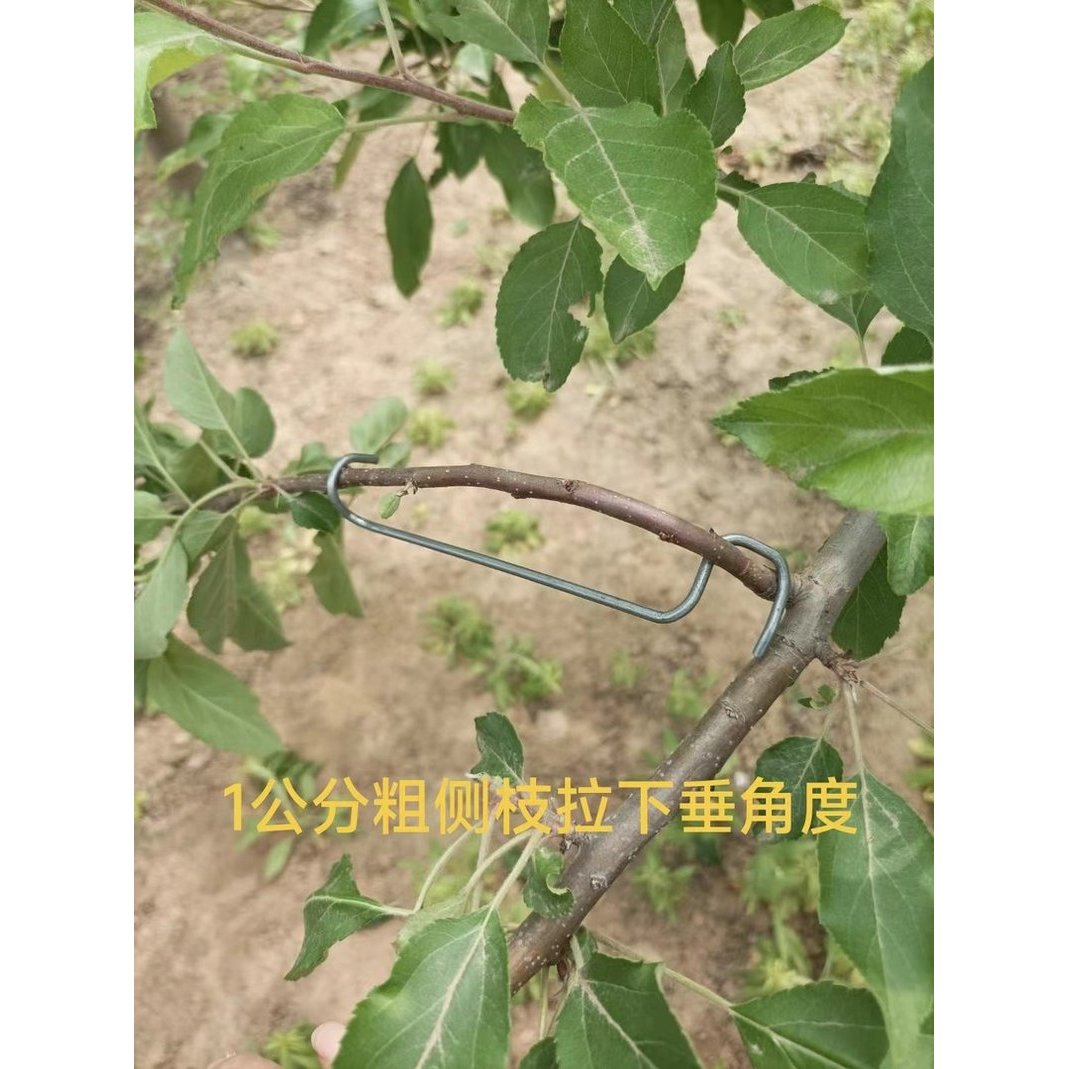 改进16型拉枝器主枝侧枝果树拉枝器定型器开角器别枝器厂家直销