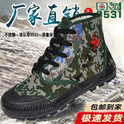 正品3531全能之星新版亚