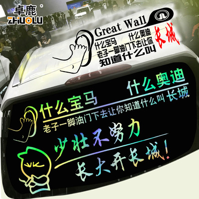 适用于长城C30C50M1M2M4风骏山海炮金刚炮炫丽汽车个性装饰贴纸